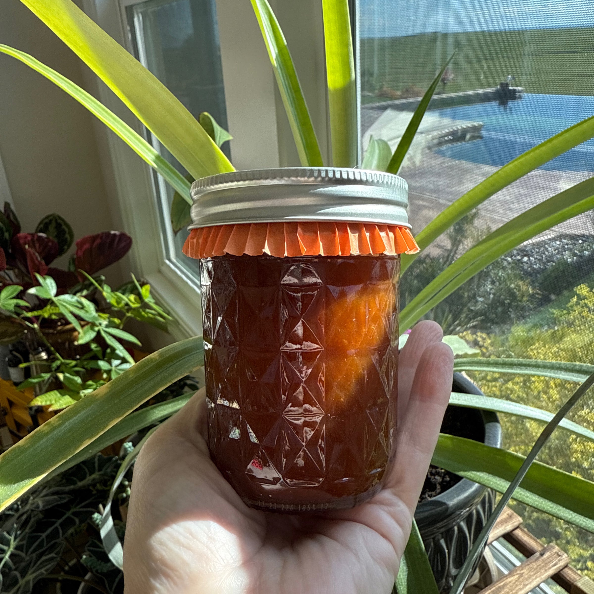 white nectarine jam